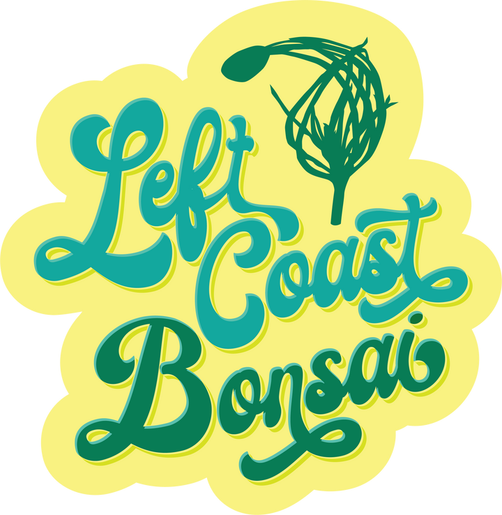 Left Coast Bonsai - seedlings & growing supplies